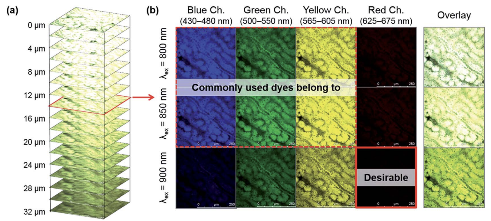 Publications – Yong Woong Jun-The Jun Lab