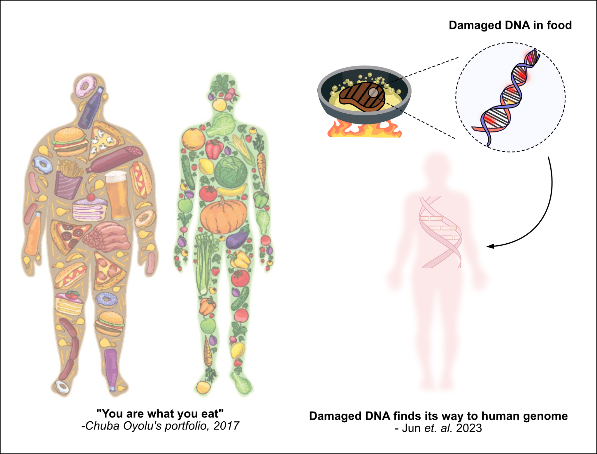 Research – Yong Woong Jun-The Jun Lab