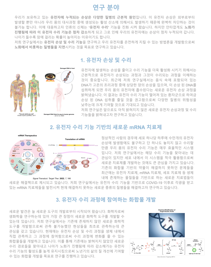 Research – Yong Woong Jun-The Jun Lab
